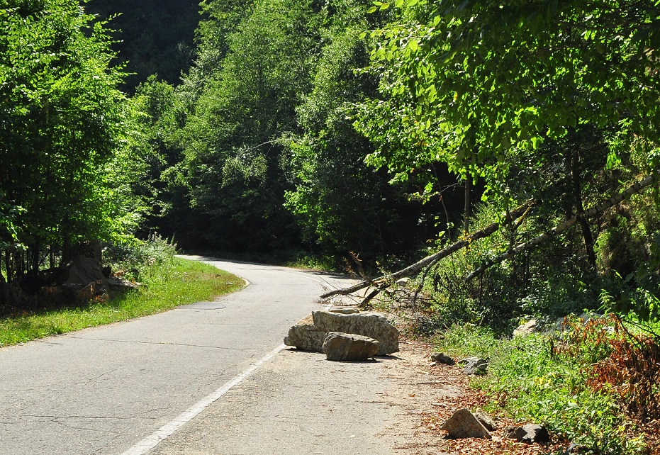 bolovan in drum - Stiri din judetul Hunedoara