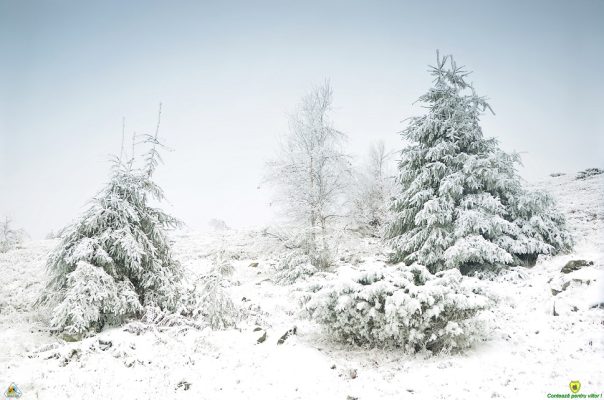 Imagini spectaculoase surprinse în Parcul Național Defileul Jiului ...