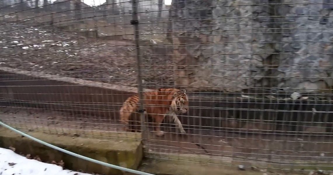 Stiri din judetul Hunedoara - Replica - Televiziunea INFO HD